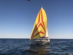 Innovation. Une grand-voile de 600 m² et de 786 kg conçue pour le ...